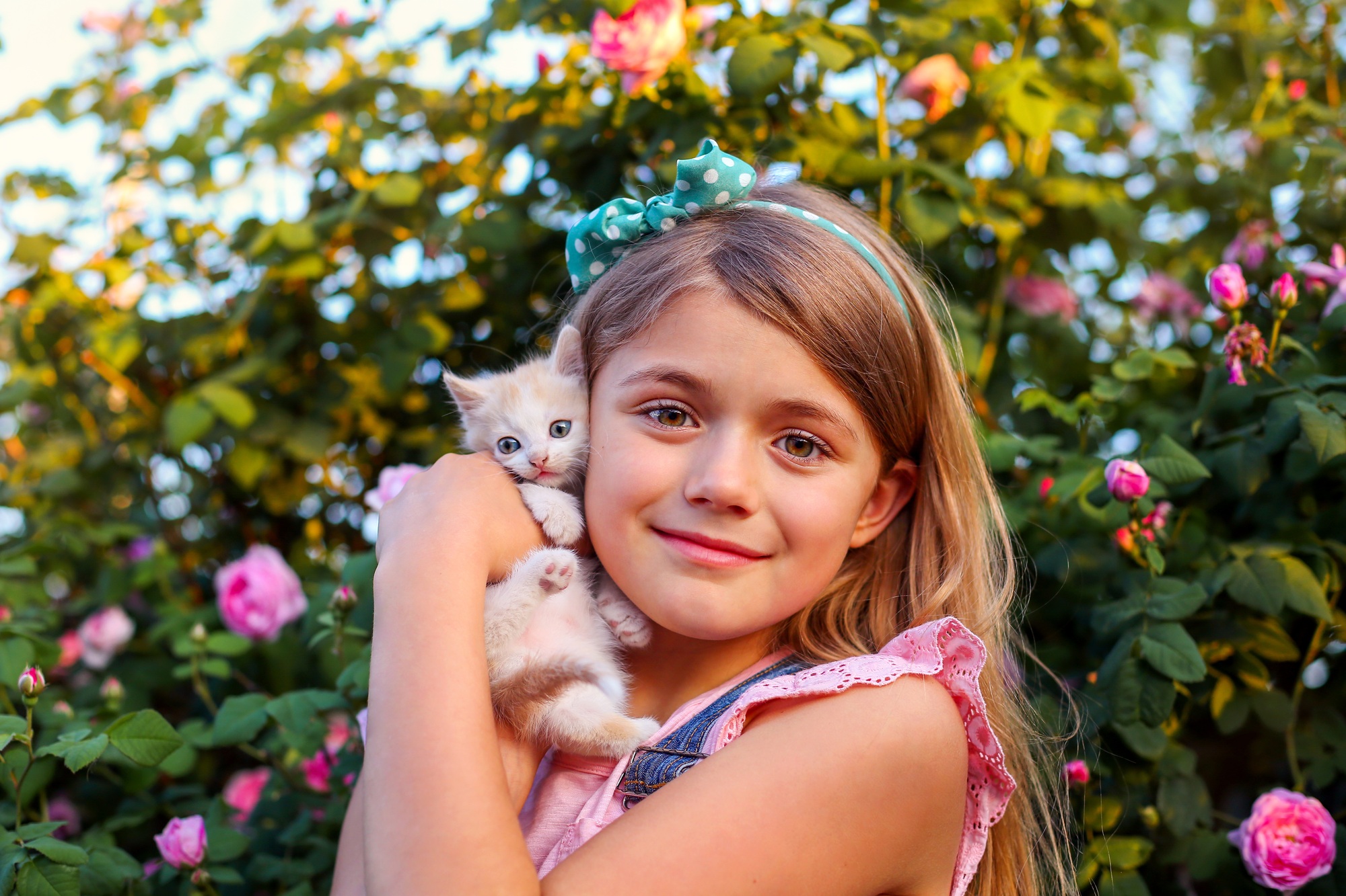 Shop Pet Friendly Solutions HomePipo shop-pet-friendly-solutions-homepipo